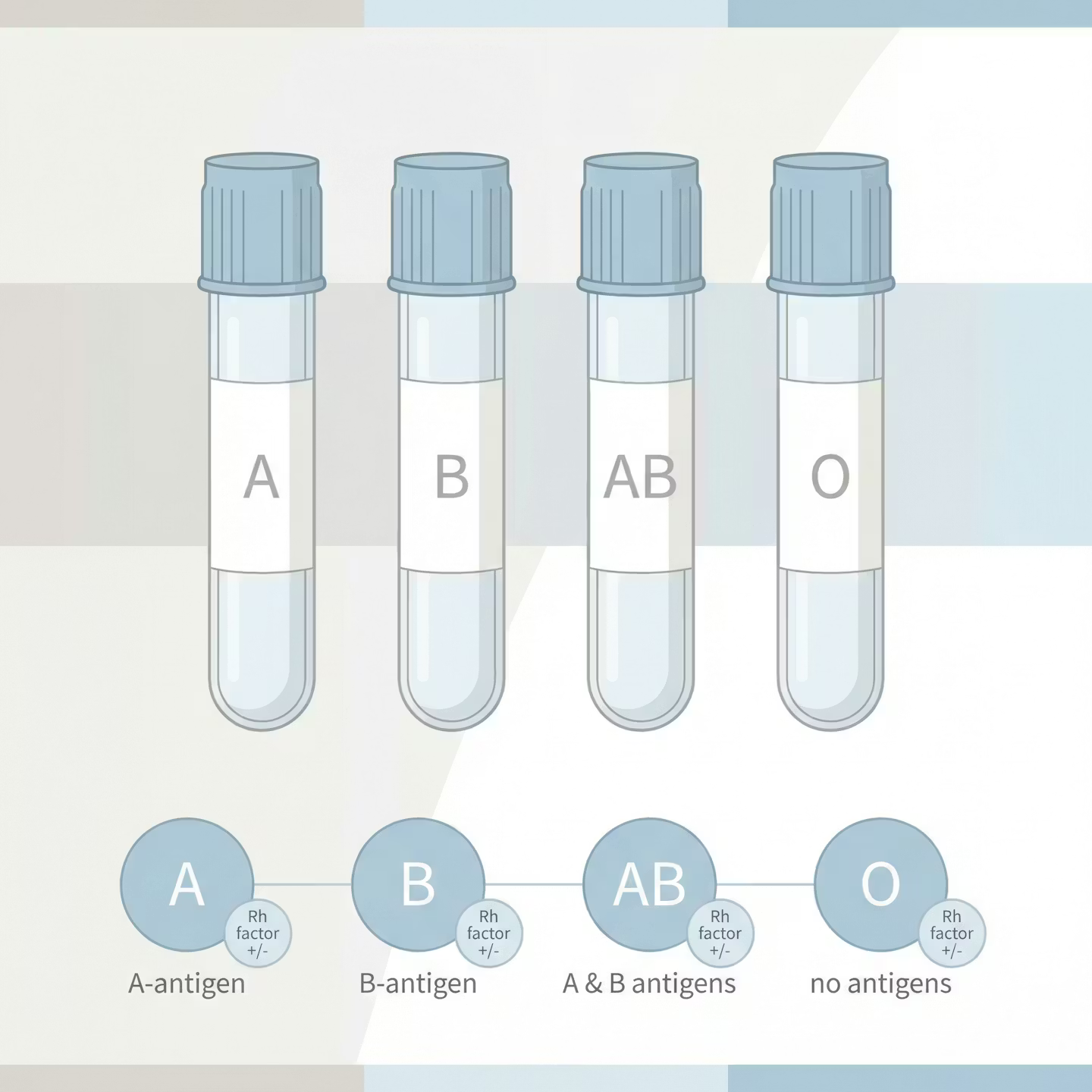 ABO Type Blood Test London | Same-Day Results – Clinilabs